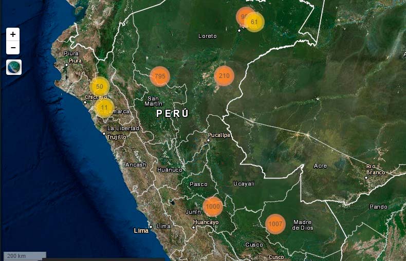 Leisa Perú Alrededor De 15 000 Hectáreas De Bosque Fueron